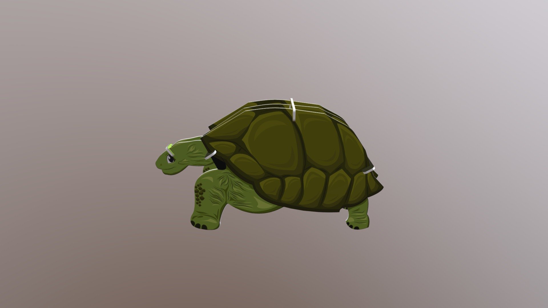 Tortuga de Galapagos - 3D model by Colección Encantados - Puzzle ...