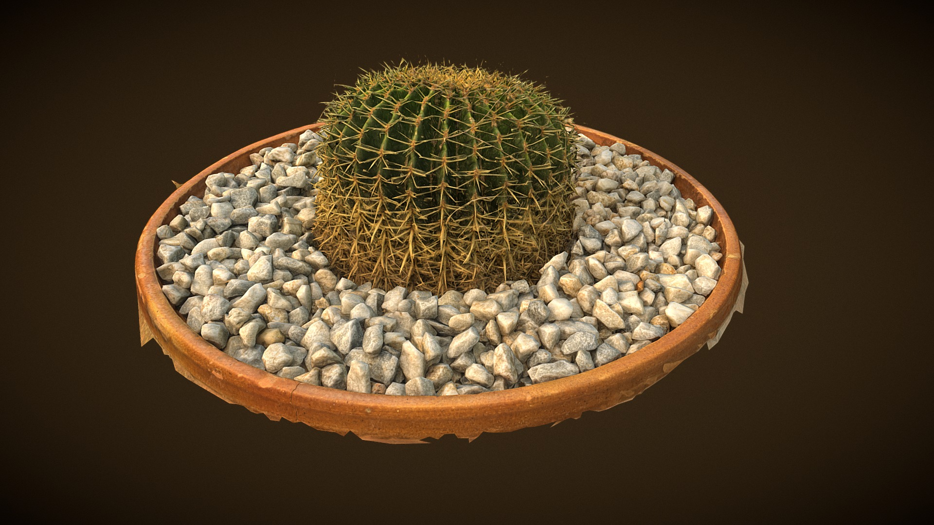 Cactus - Download Free 3D model by Alexandre González Rivas ...