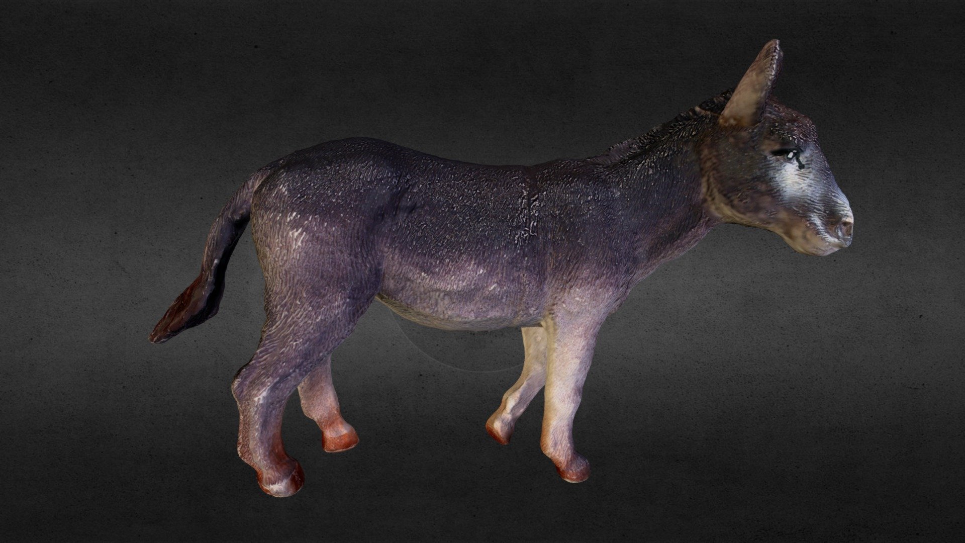 Donkey_Toy_3D_Photogrammetry - 3D model by Hipervision.eu (@MarkoV ...