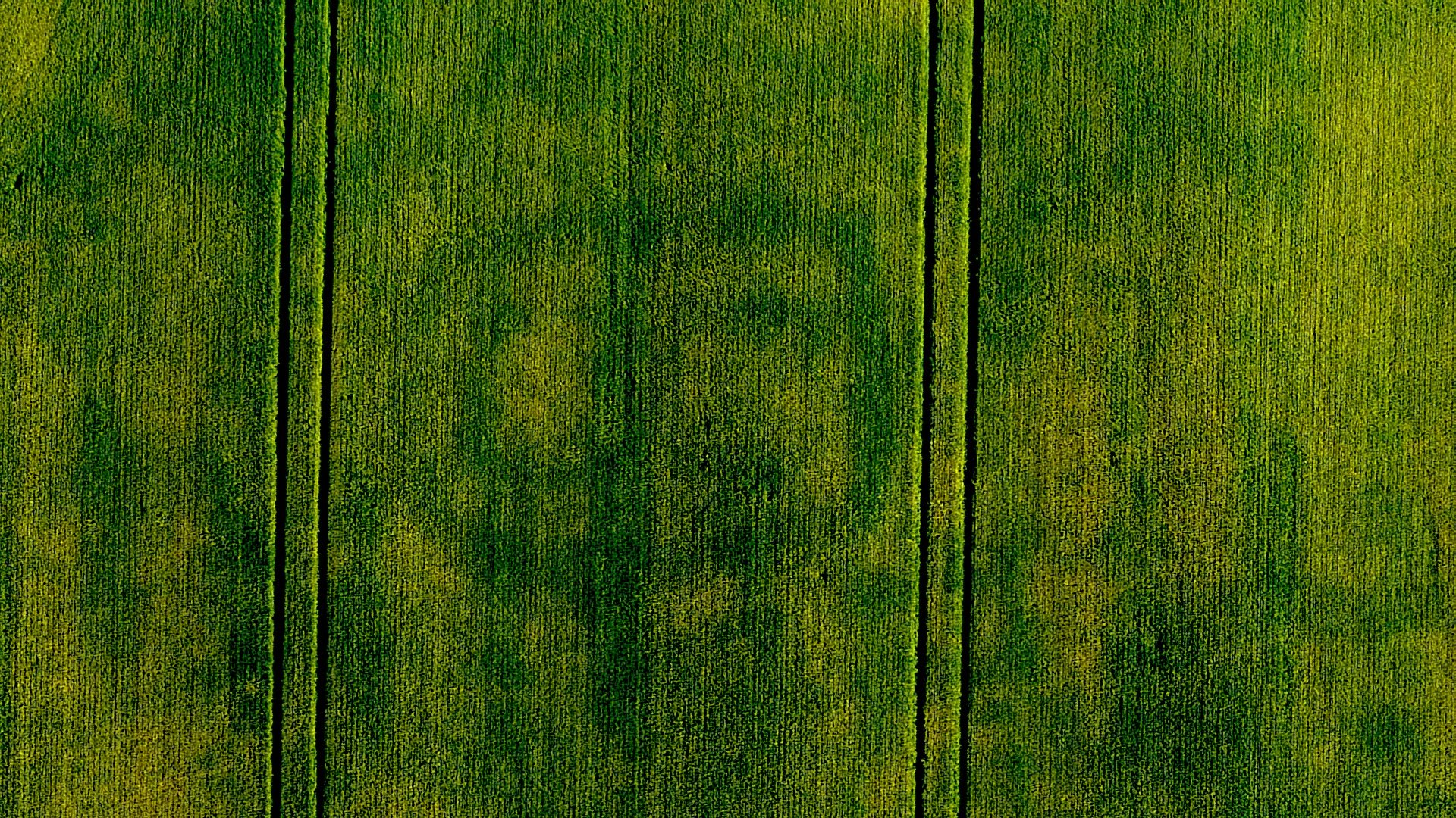 Drone survey of crop-marks - 3D model by Professor Dominic Powlesland ...