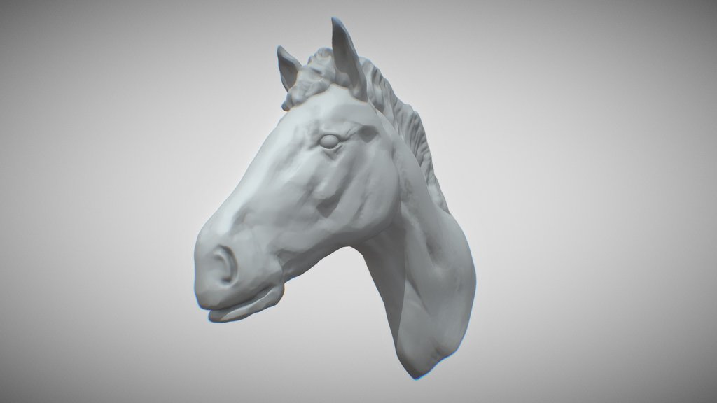 Anatomy - A 3D model collection by picart - Sketchfab