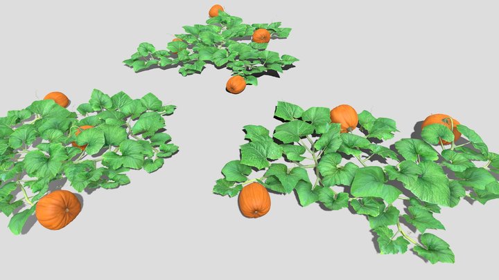 Plantation 3D models - Sketchfab