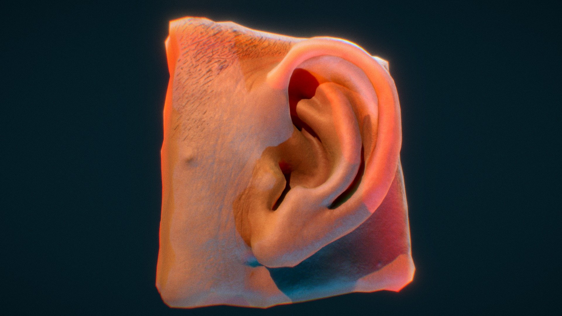 Ear Sculpt 2-13-18 - 3D model by TShahan [09d2349] - Sketchfab