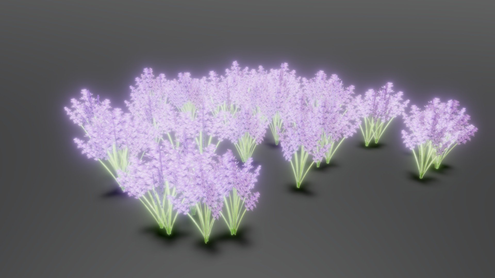 Lavender - Download Free 3D model by Somersby [09d2ec4] - Sketchfab