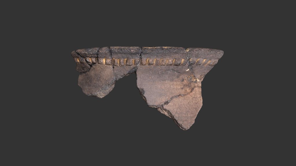 Pee Dee Series Pottery - A 3D model collection by RLA Archaeology (@rla ...