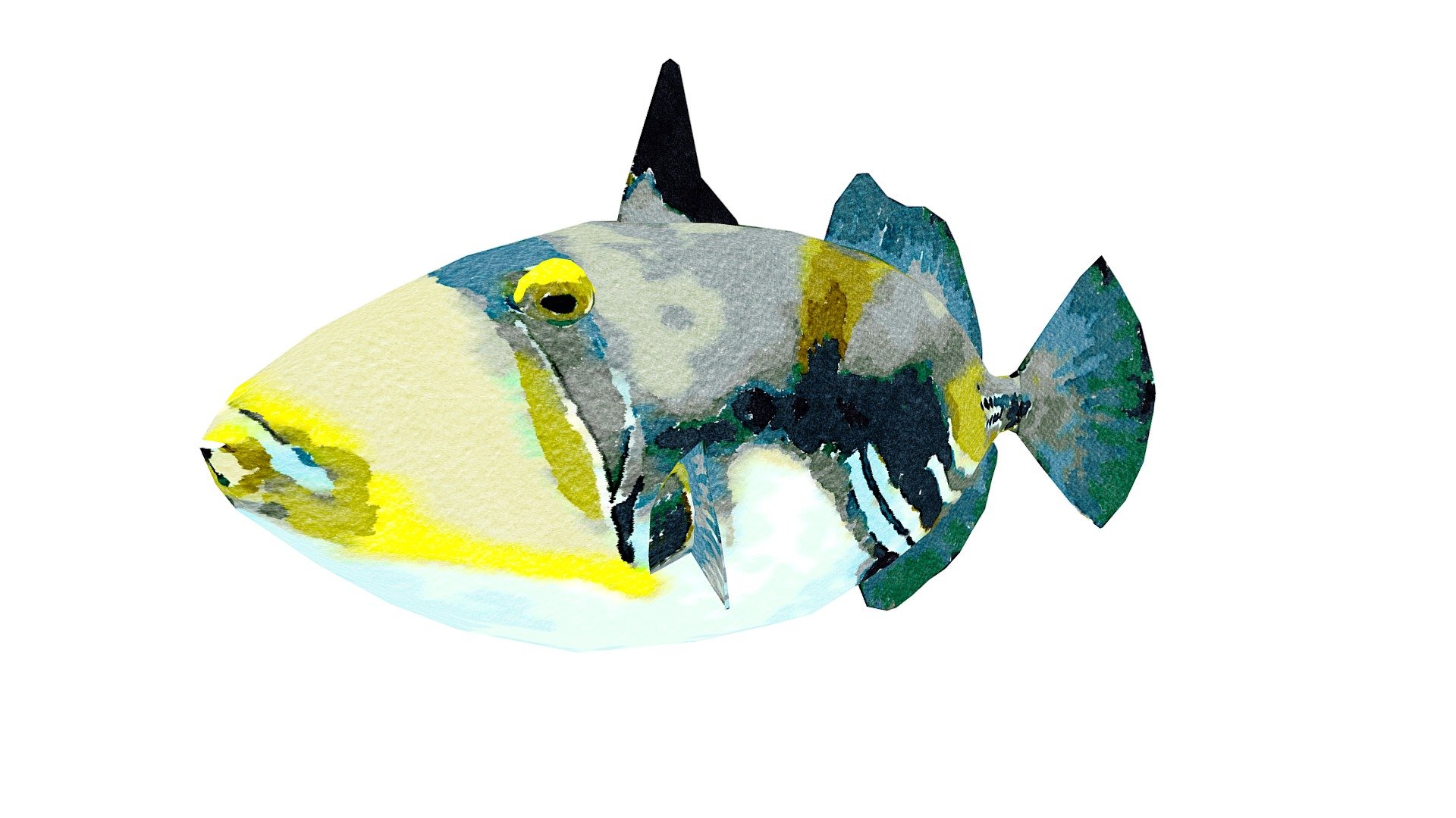 Picasso Triggerfish Illustration - 3D model by josluat91 [09df6d4] - Sketchfab