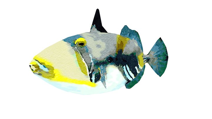 Seaworld 3D models - Sketchfab