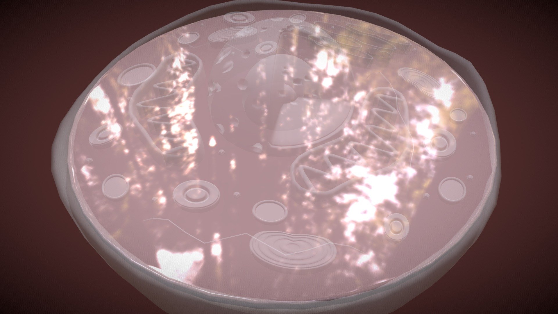 Citoplasma - 3D model by Laboratorio Virtual (@laboratoriovirtual ...