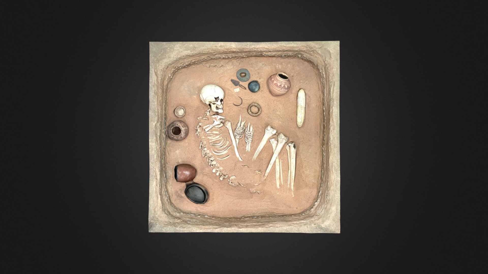 Archaeological Burial | Liverpool World Museum - 3D model by ARCHIV3D ...