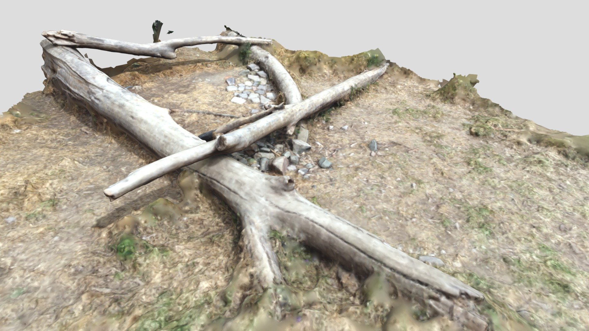 Fallen Trees - Download Free 3D model by Badri Gogia (@BadriGogia ...