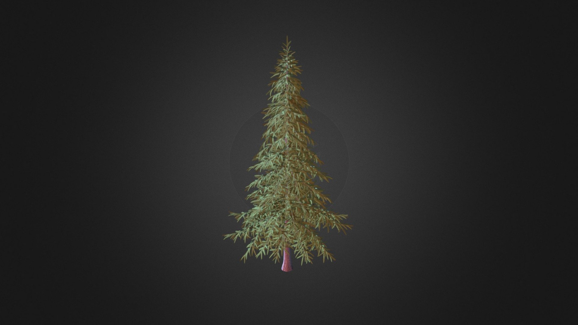 Fir Tree 3D Model 5.9m - Buy Royalty Free 3D model by cgaxis [09e80dc ...