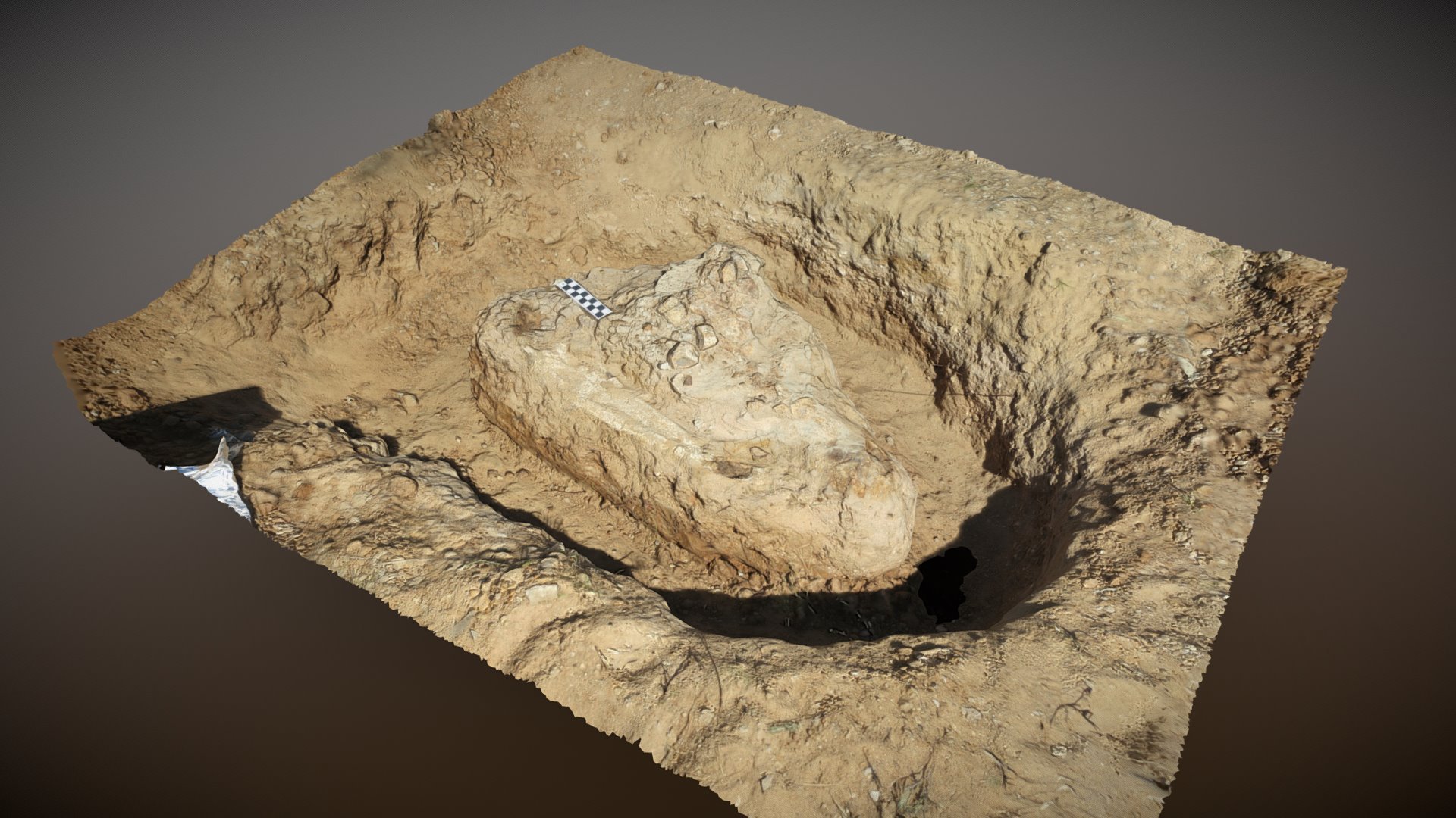 Fossil in field - 3D model by Diprotodon [09ed8cd] - Sketchfab