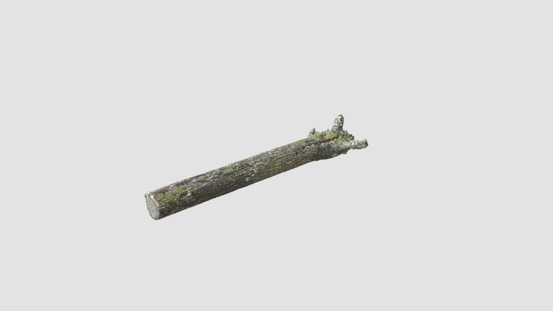 forest element - Buy Royalty Free 3D model by Evermotion [09eed99 ...