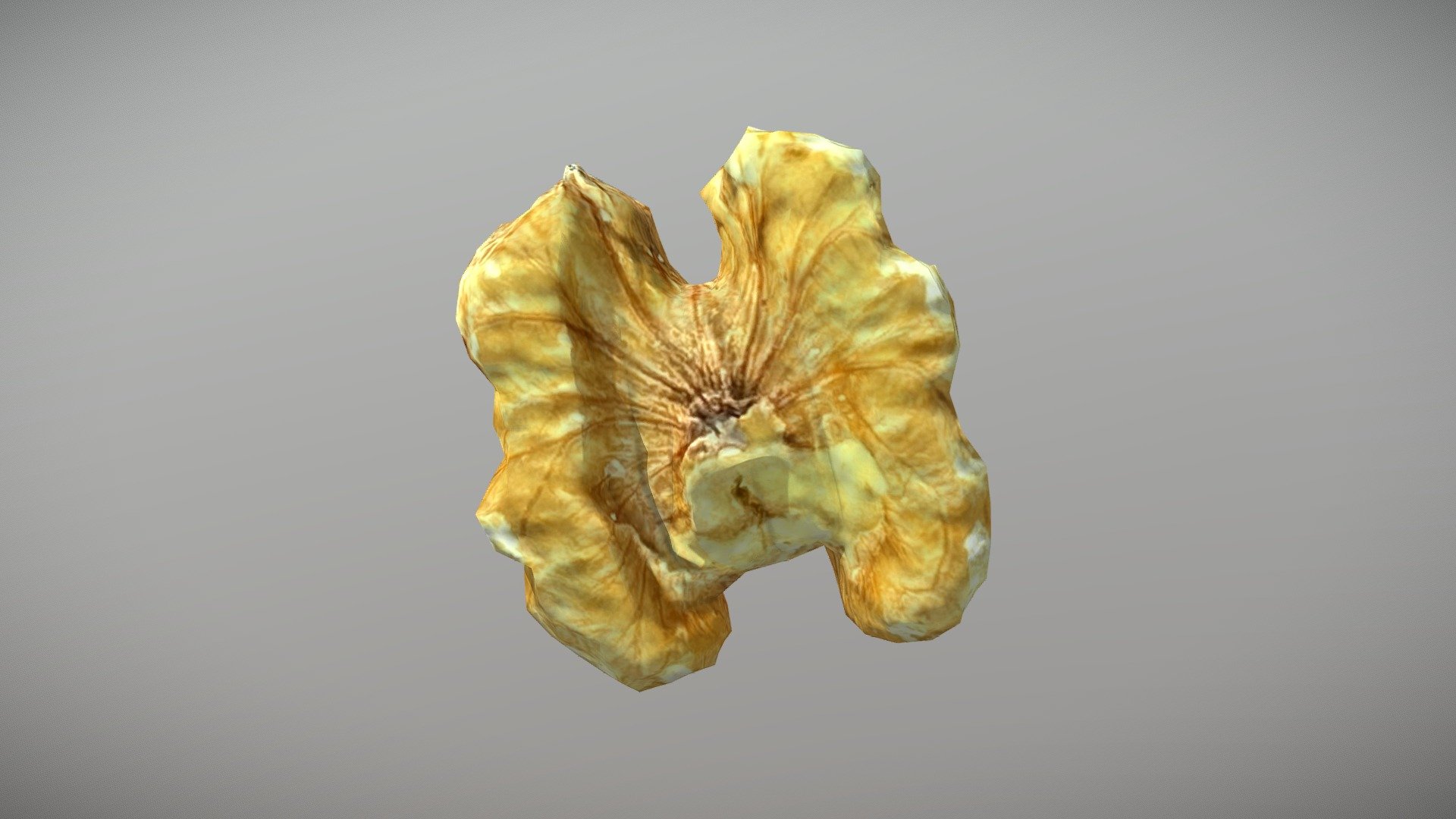 Walnut Half - Buy Royalty Free 3D model by SoReal Scanning ...