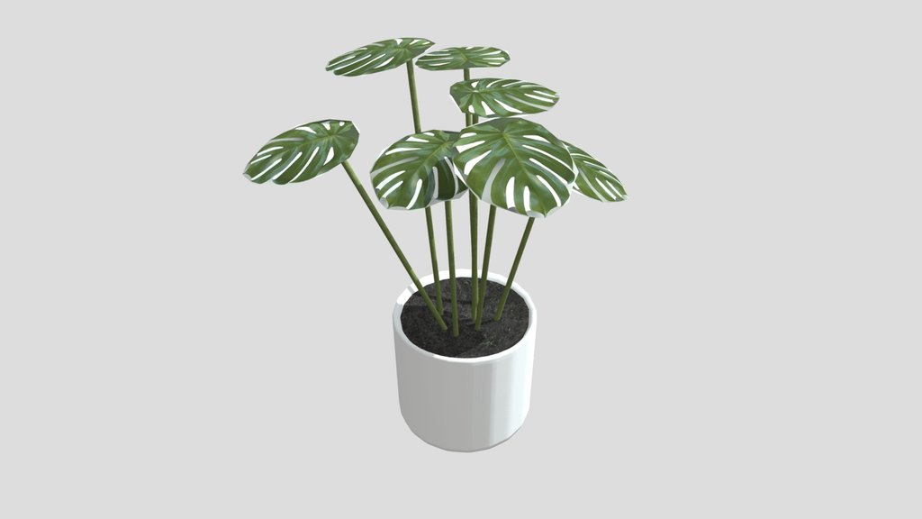 Plants - A 3D model collection by invisigoth - Sketchfab
