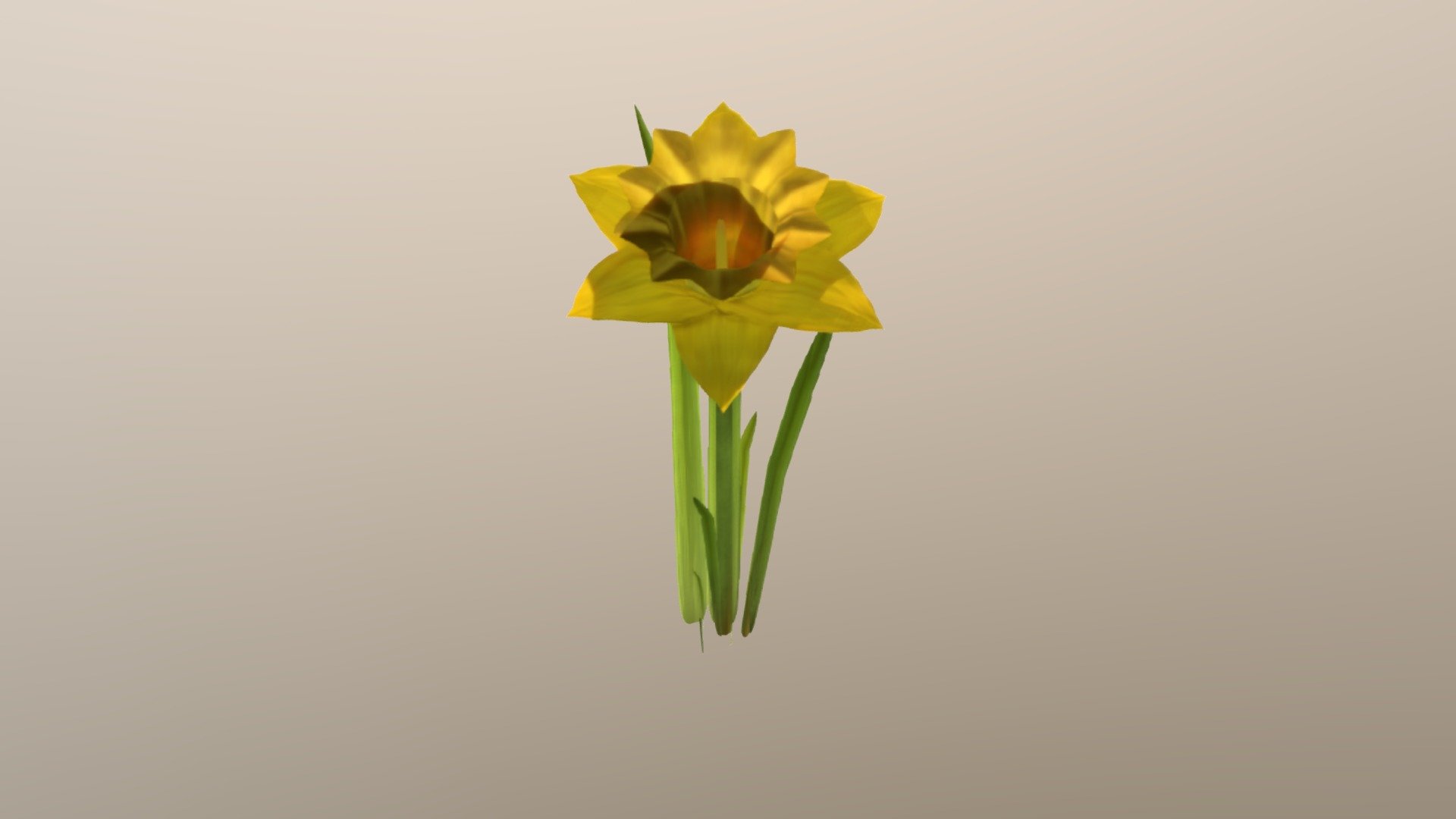 Daffodil 01 - 3D model by Ashindale [09fd91c] - Sketchfab