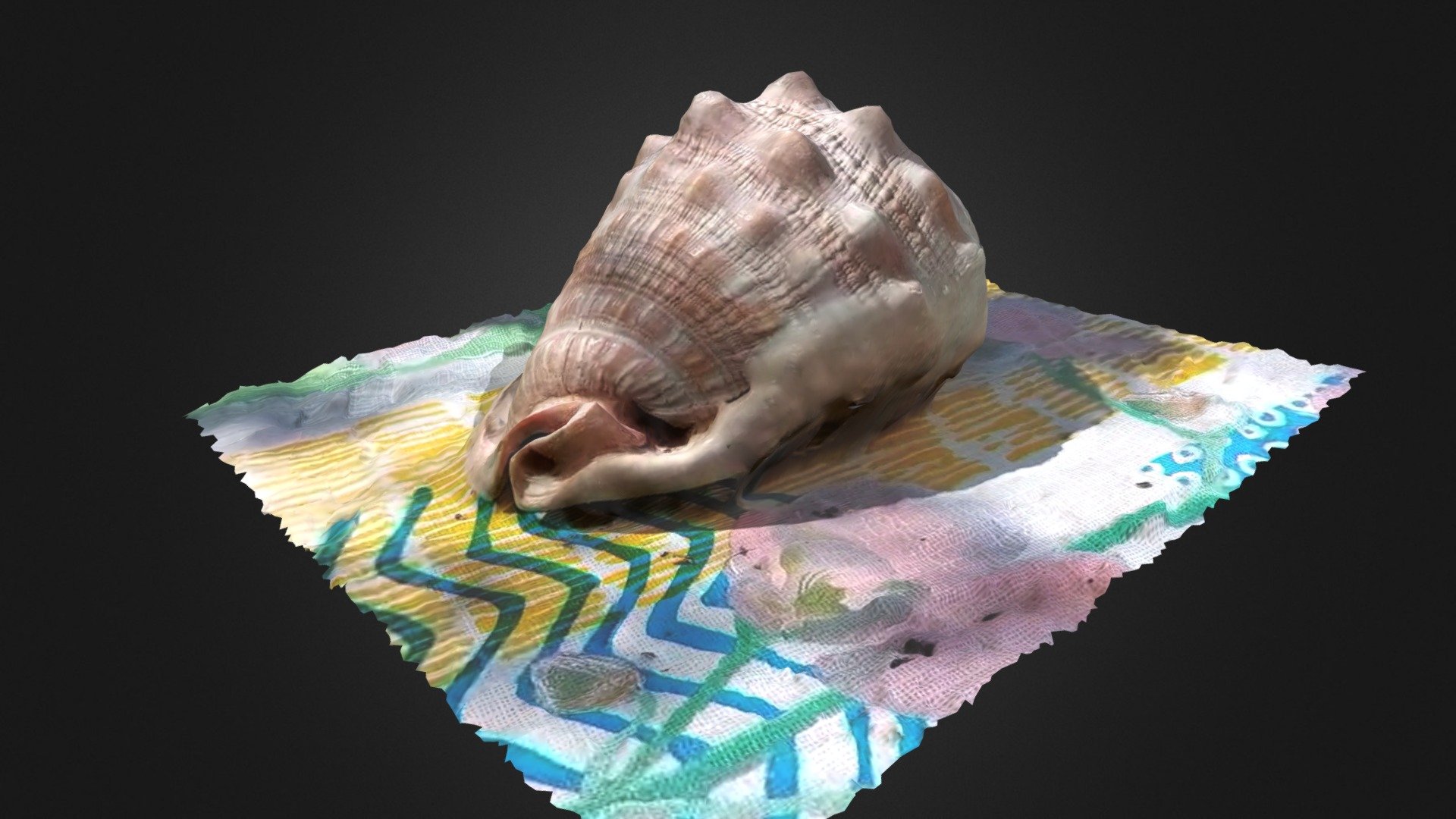 Concha - Download Free 3D model by Artur Coelho (@coelhoelectrico ...