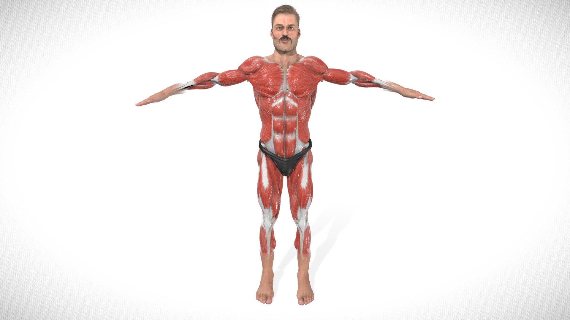 Muscle Exposed Man Fitness health (Rigged) - Buy Royalty Free 3D model ...