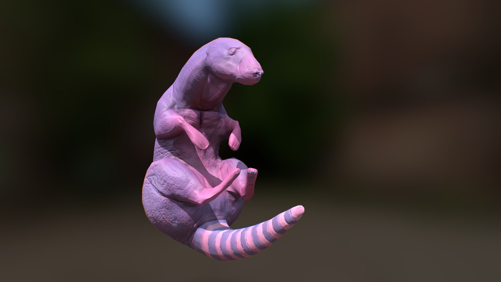 RINGTAIL - Buy Royalty Free 3D model by Fred Drabble (@FredDrabble ...