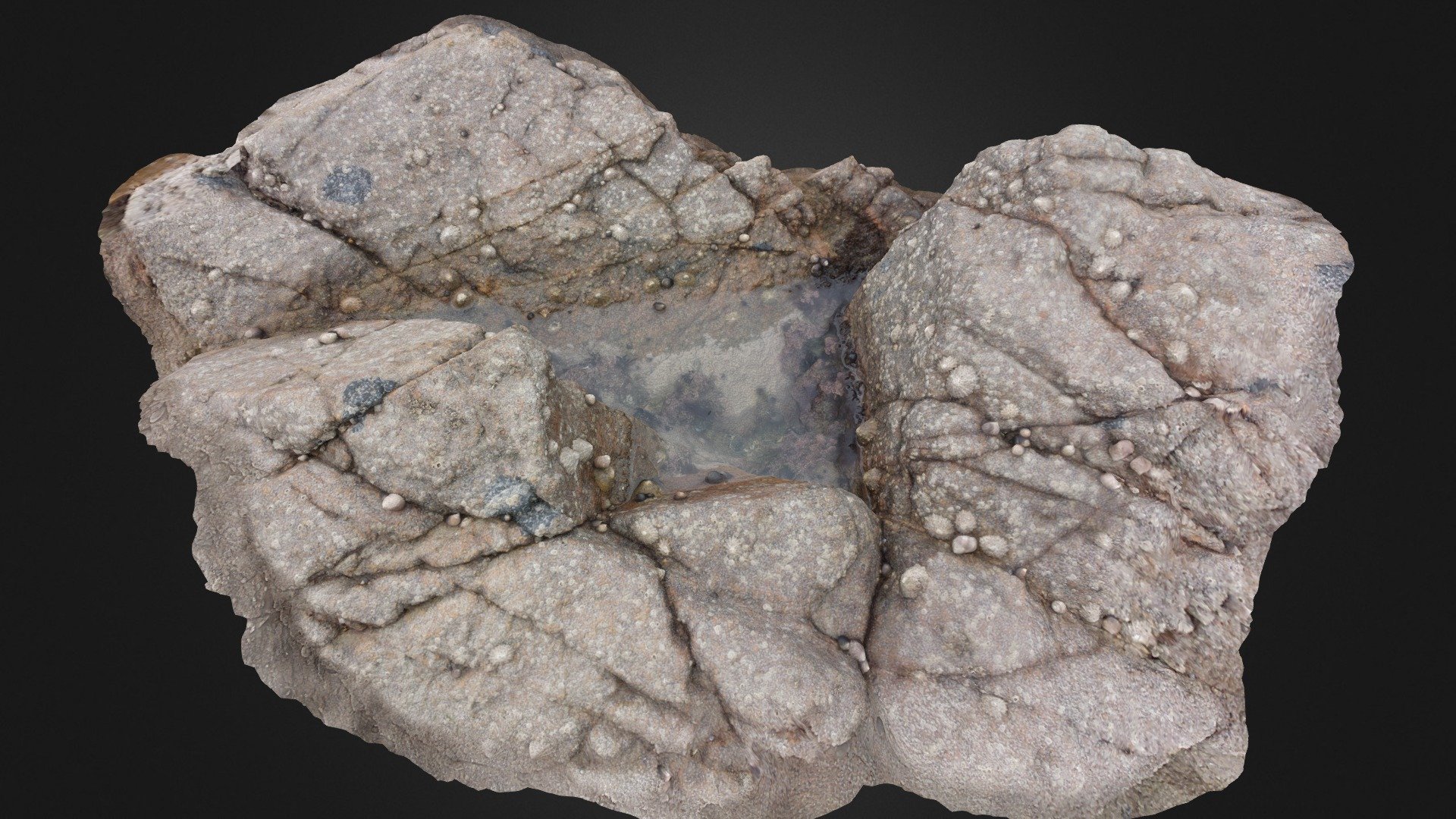 Greyhope Bay Rockpool - 3D model by Amy Scott-Murray (@amyscottmurray ...