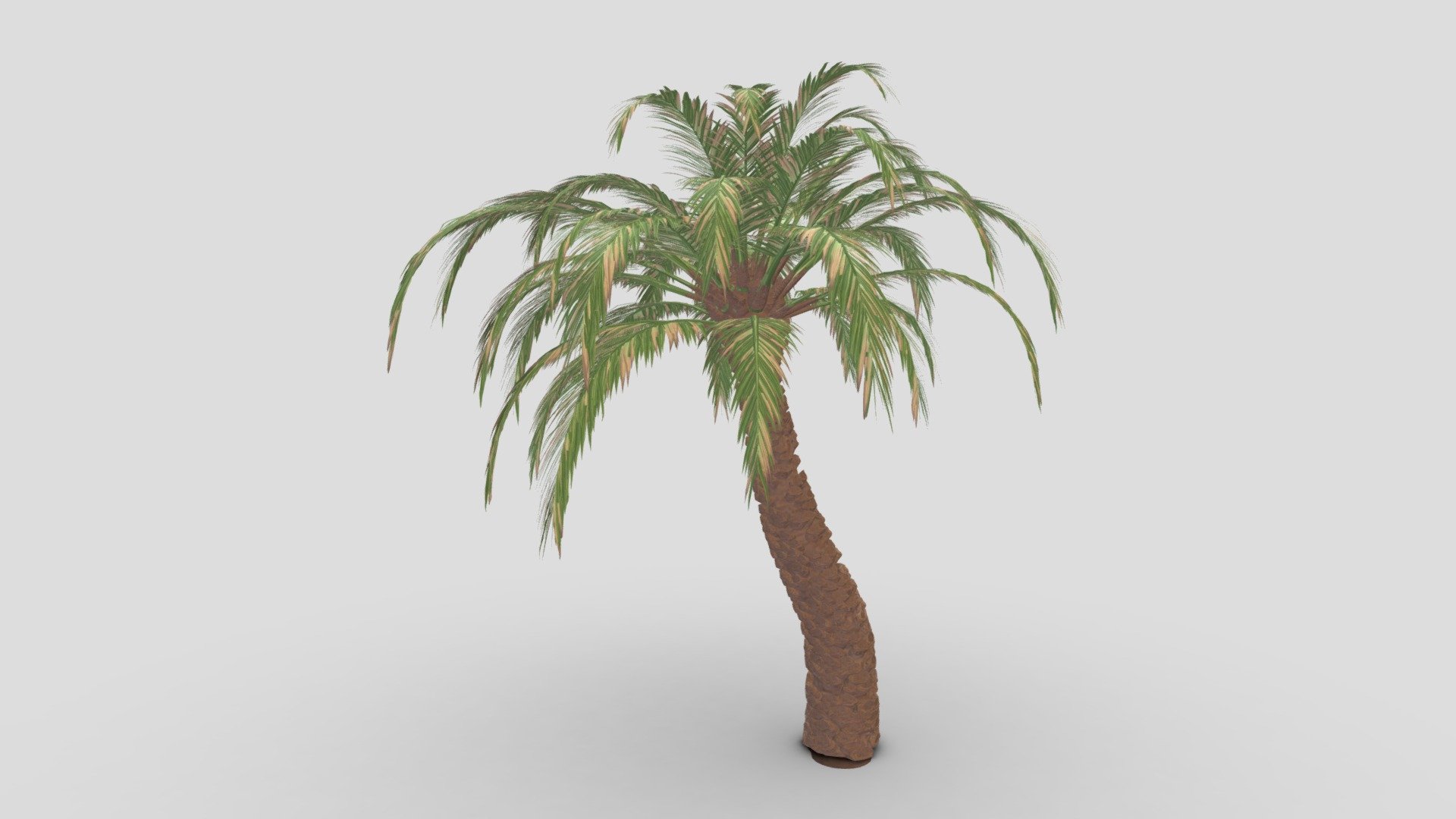 Date Tree- 03 - Buy Royalty Free 3D model by ASMA3D [0a16e57 ...
