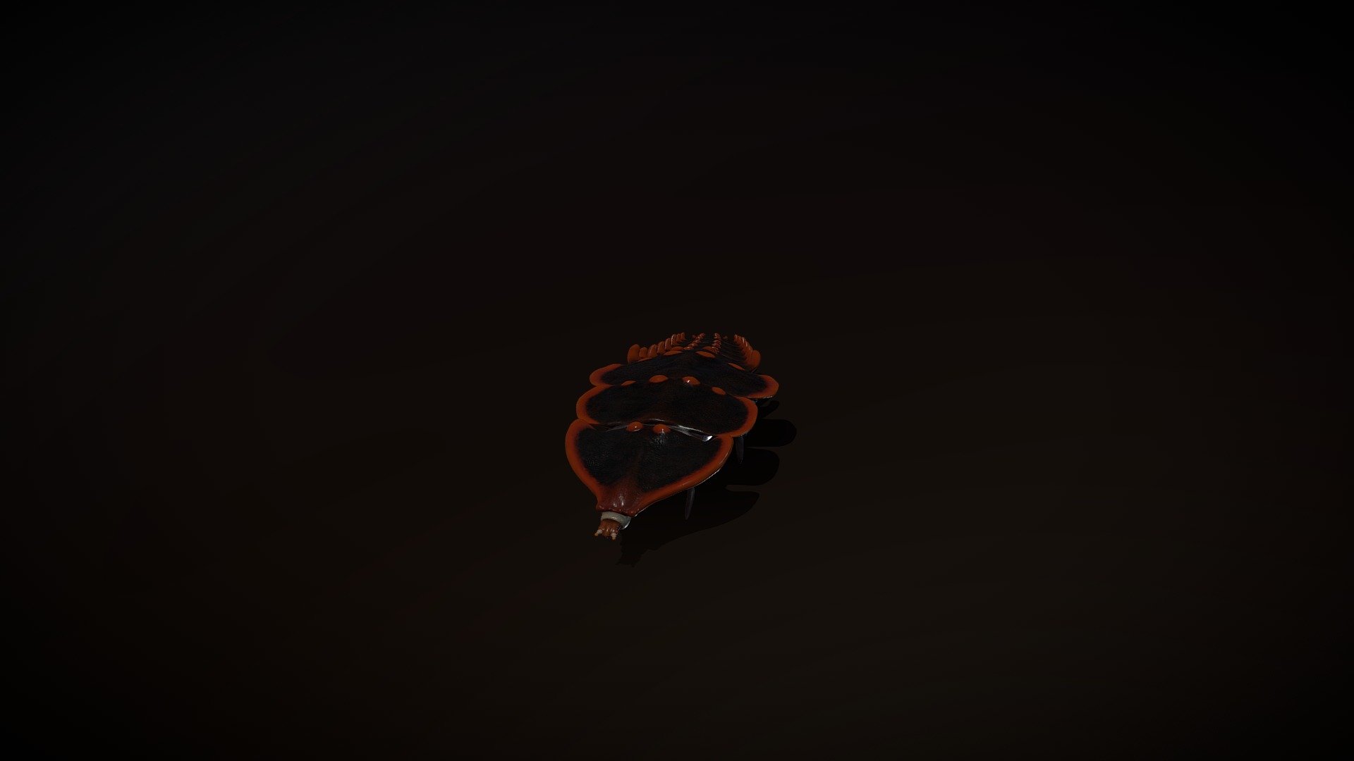 Trilobite Beetle - 3D model by pearllansdownn [0a2603b] - Sketchfab