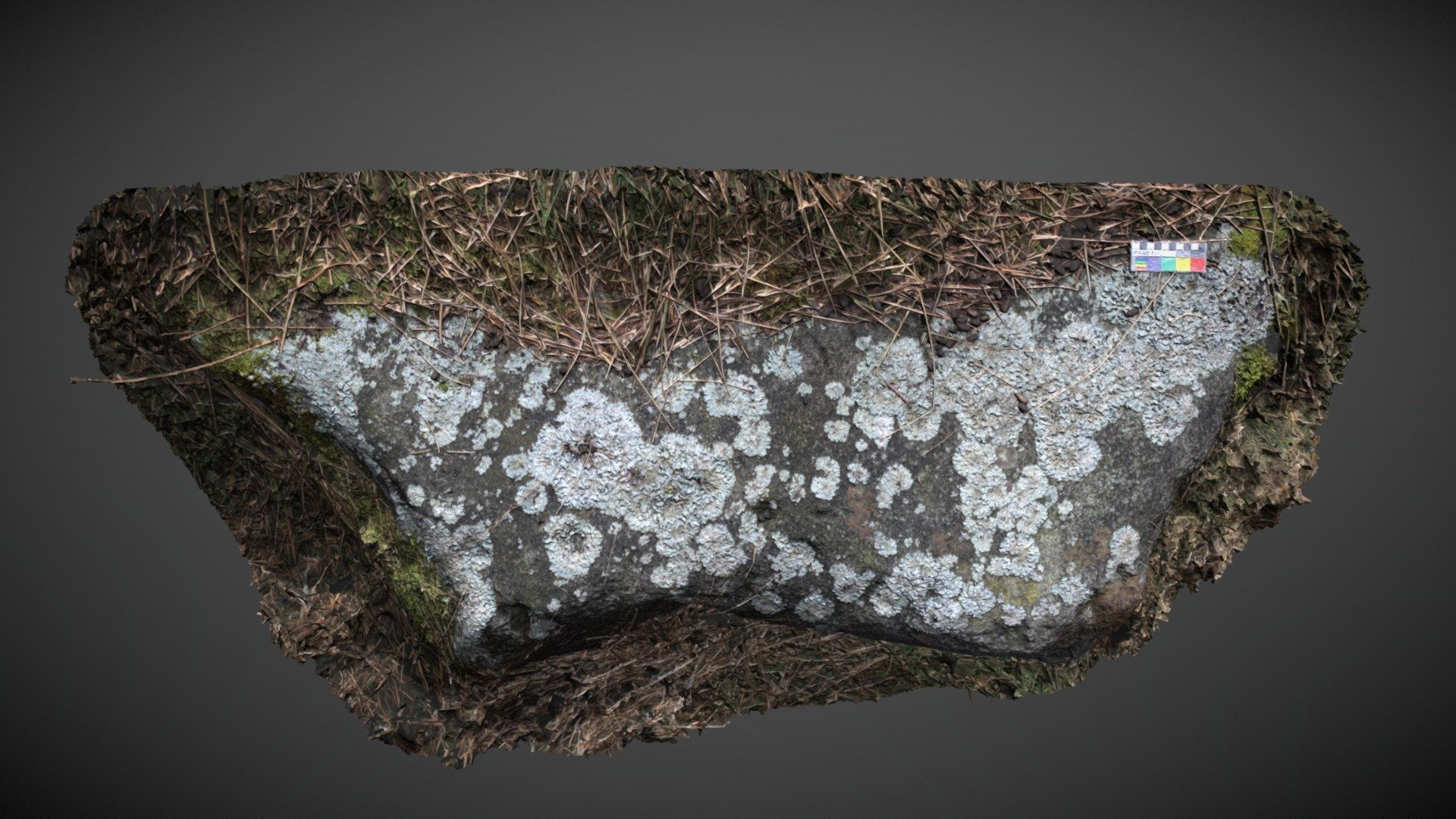 Askwith Moor (IAG 515) - Download Free 3D model by England's Rock Art ...