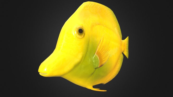 Animschool 3D models - Sketchfab