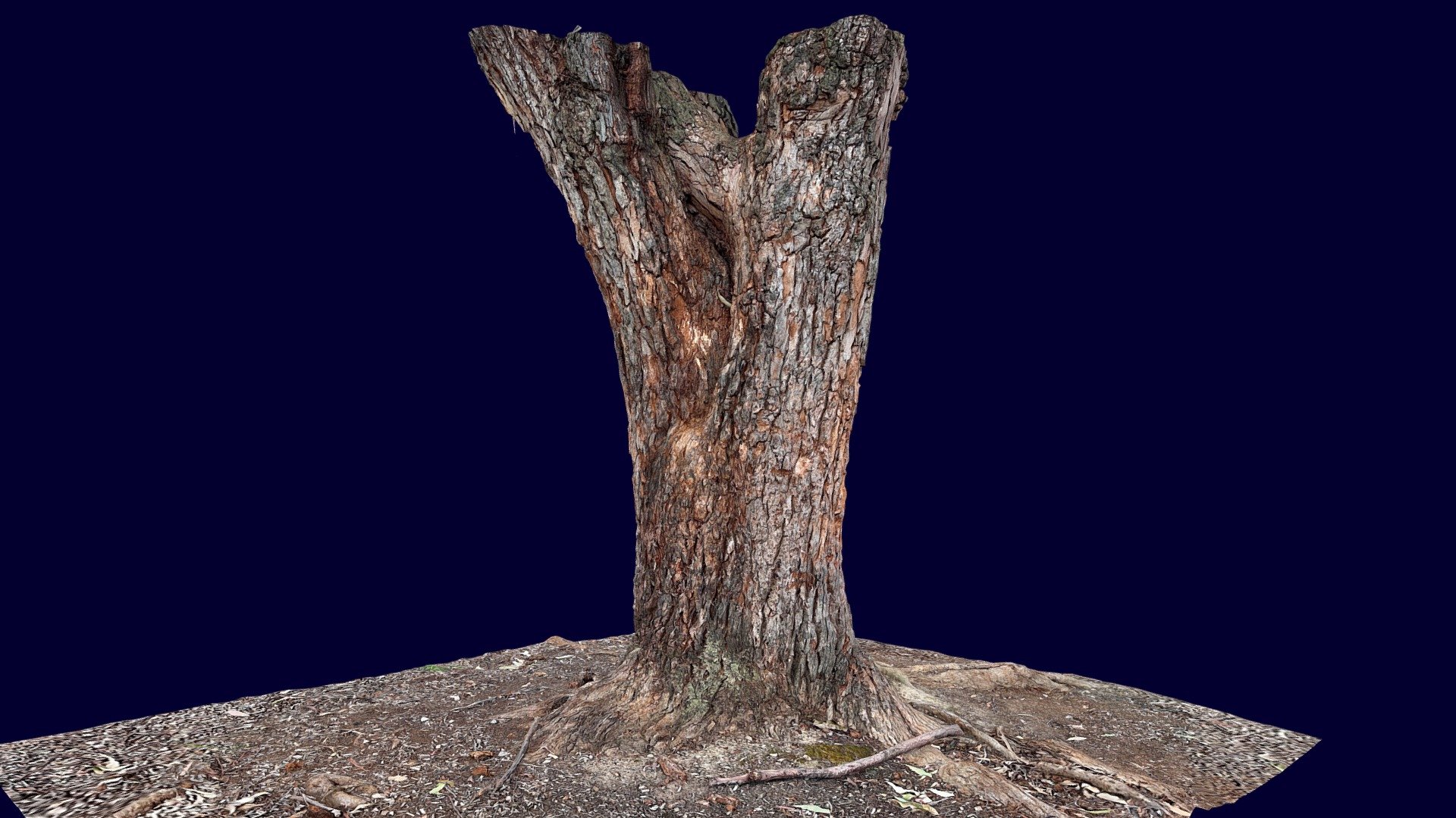 Tree Trunk - Download Free 3D model by Andrei Alexandrescu (@Andrei ...