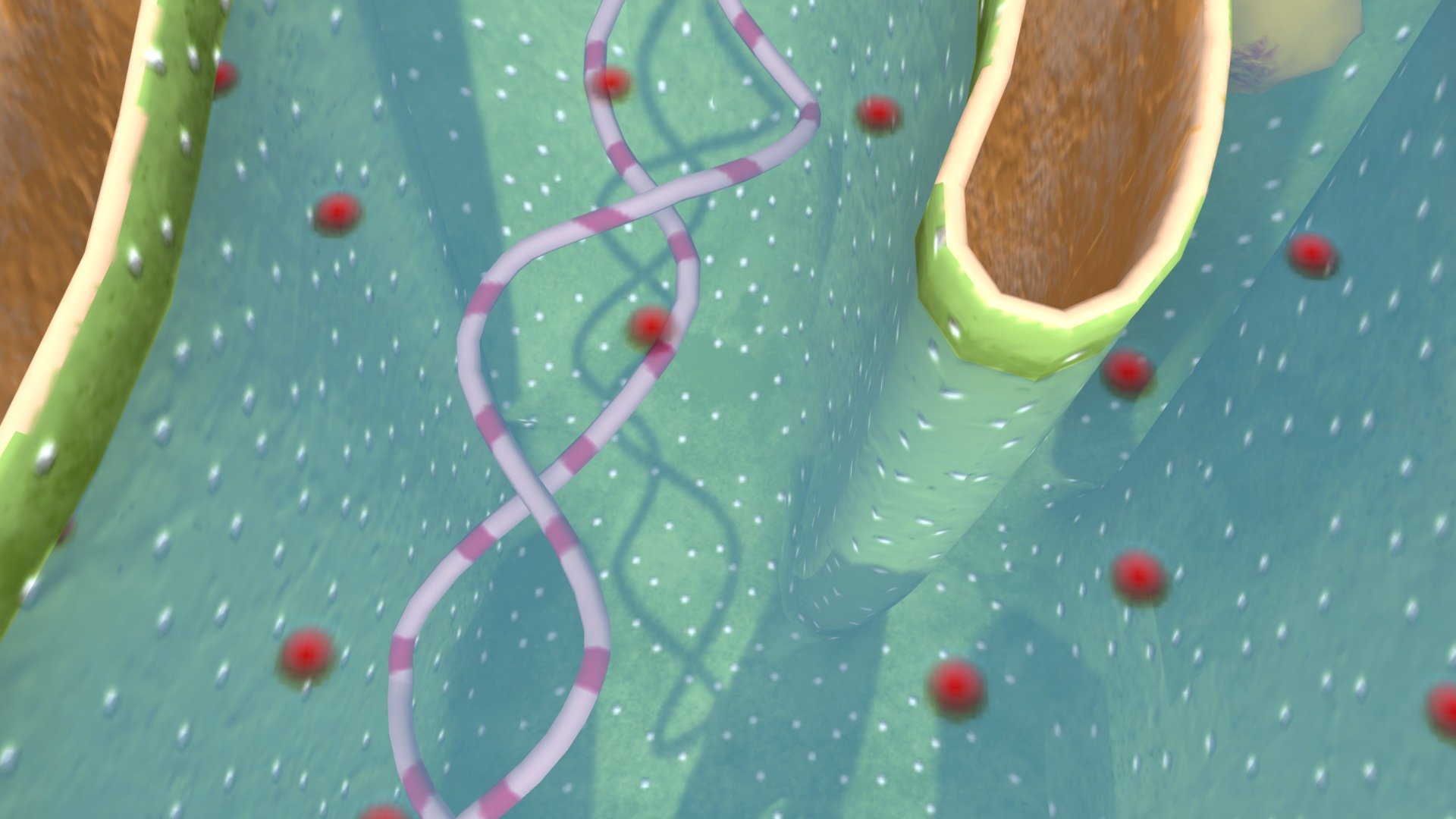 mitochondria-cell-organelles (1) - 3D model by Manuel_Castillo (@maria ...