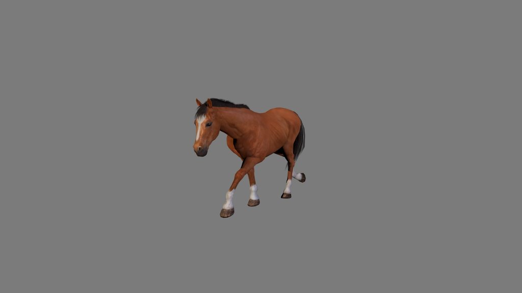 Horse - A 3D model collection by Centroid Motion Capture (@Centroid ...