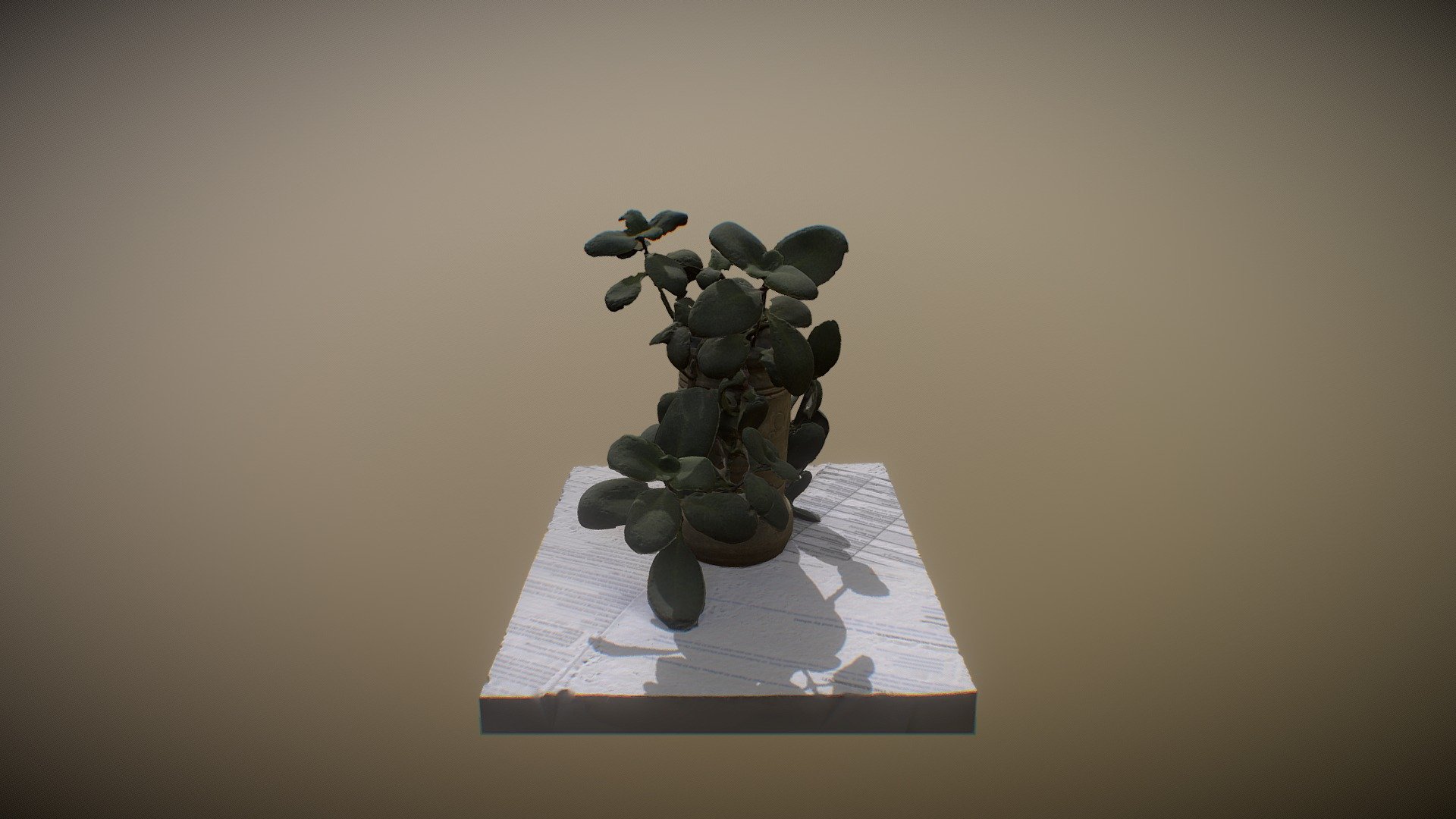 Small Plant - 3D model by Jesterofthesky [0a5e409] - Sketchfab