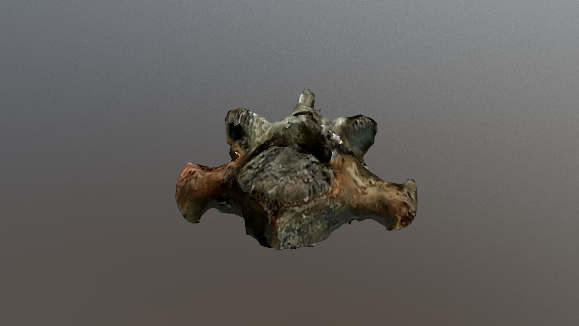 Os - 3D model by bastienliagre50 [0a64190] - Sketchfab