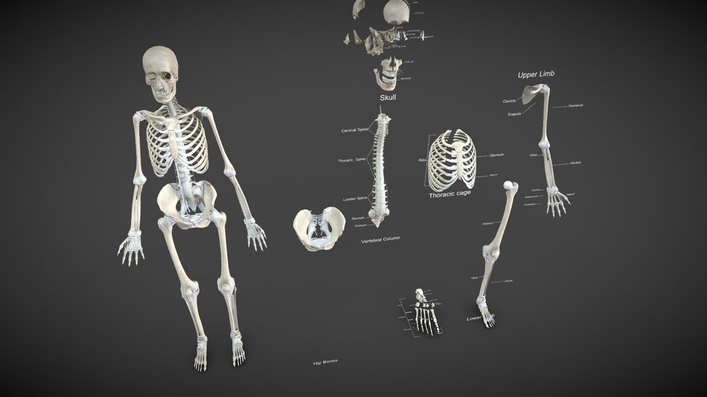 Figures - A 3D model collection by TengenTopo - Sketchfab