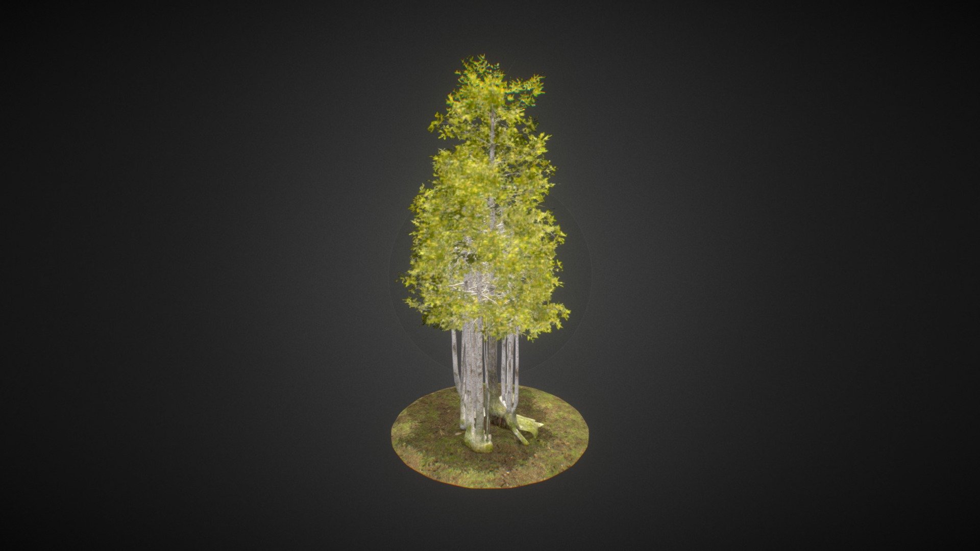 Elder ENT Queule4 Replica - 3D model by endangeredtokens [0a6e222 ...