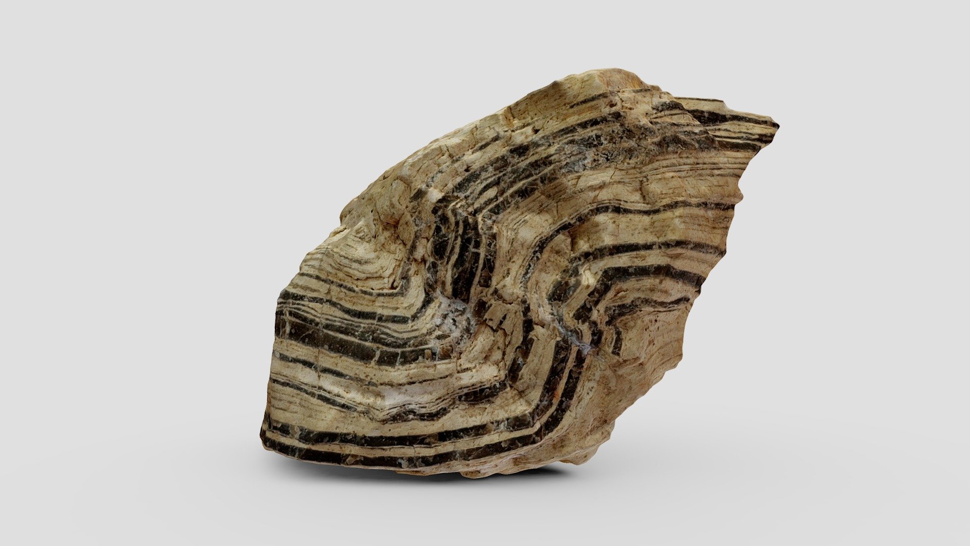 Fold - 3D model by CSULB Geology (@richard.behl) [0a70776] - Sketchfab