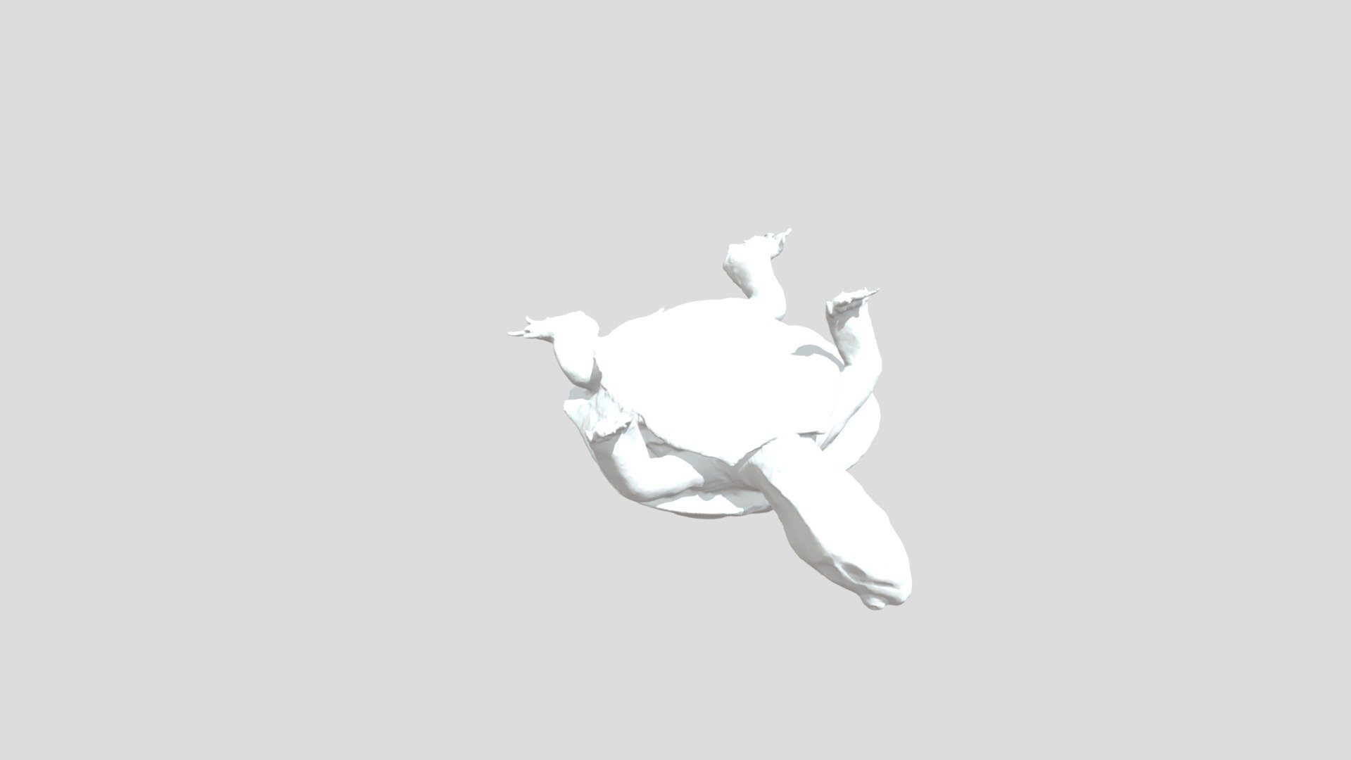 3D Model_tortuga - Download Free 3D model by martinabelsa [0a739c3 ...