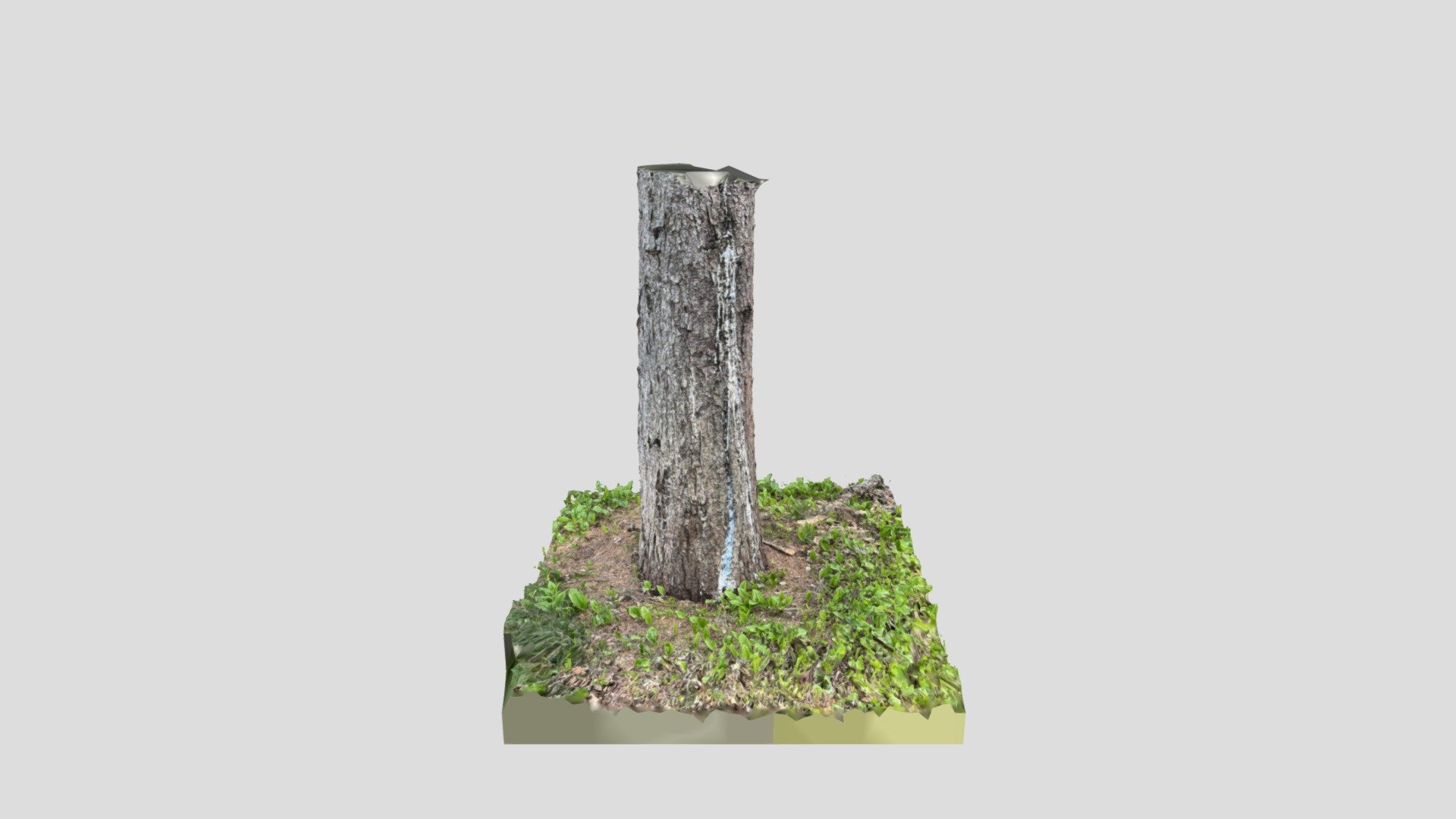 Scan 2023-05-22T01:29:24.077Z - Download Free 3D model by Laurenthetu ... Scan 2023-05-22T01:29:24.077Z - Download Free 3D model by Laurenthetu ...