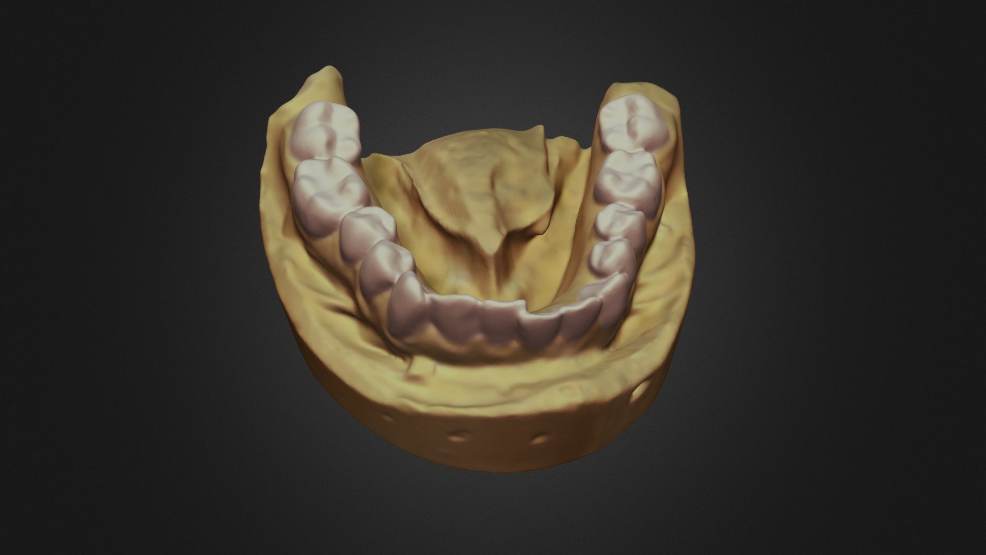 DENTAL MOLD 3D SCAN MANDIBLE - 3D model by Lakehead Anthropology ...