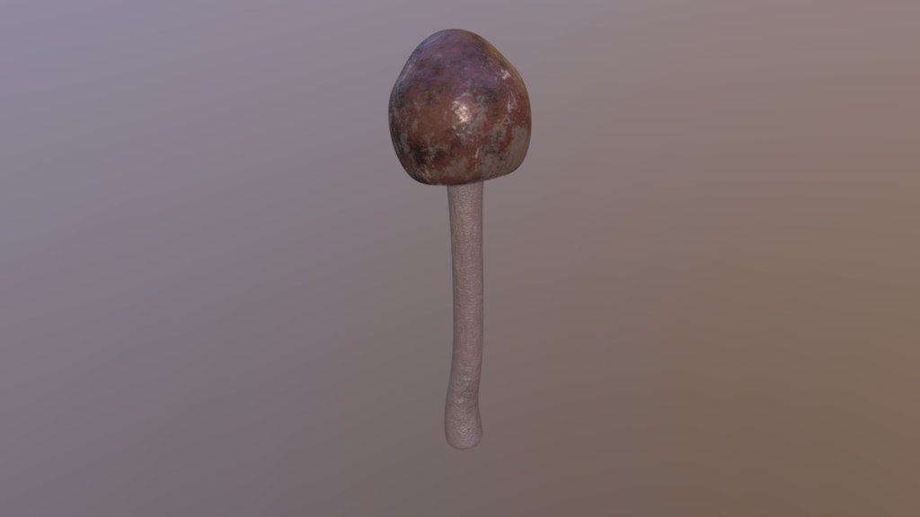 GART_MUSHROOM_THIN_05 - 3D model by peijee [0a88921] - Sketchfab
