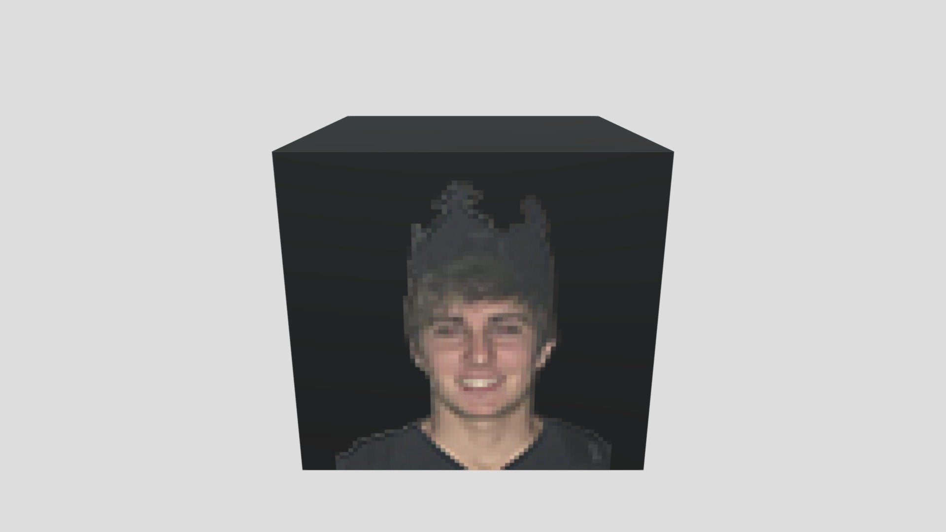 Pixel Portrait Box Export - Download Free 3D model by Zachbray9 ...