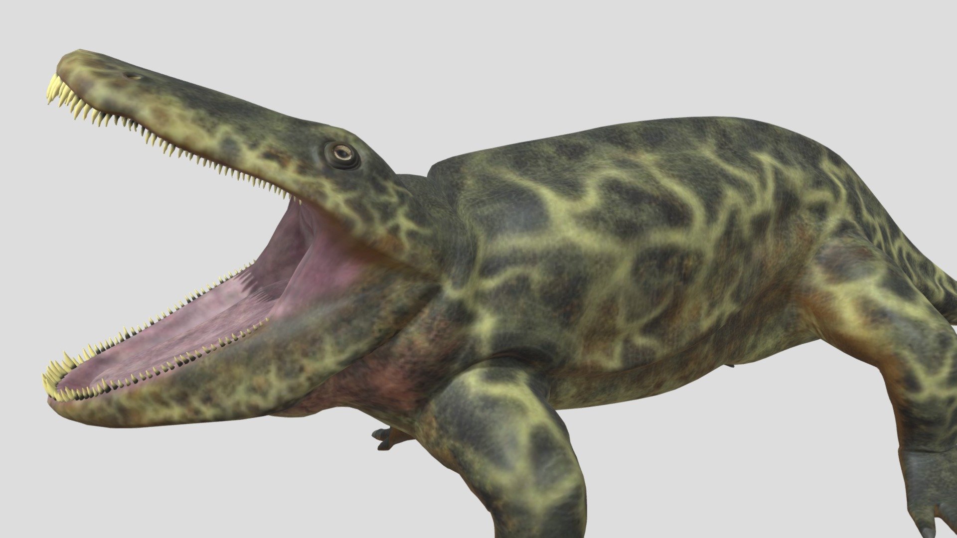 eryops - Download Free 3D model by seth the yutyrannus (@slang107123456789) [0a93b71] - Sketchfab