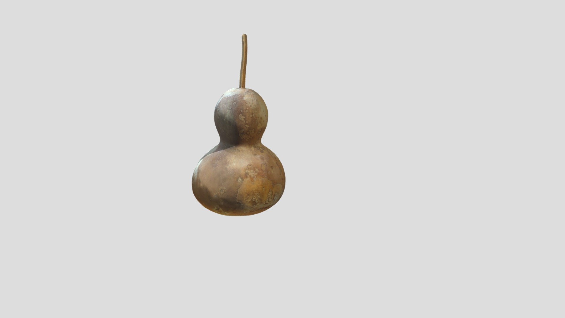Dried Ipu Gourd - 3D model by MonicaMarlo_PCC [0a990d4] - Sketchfab
