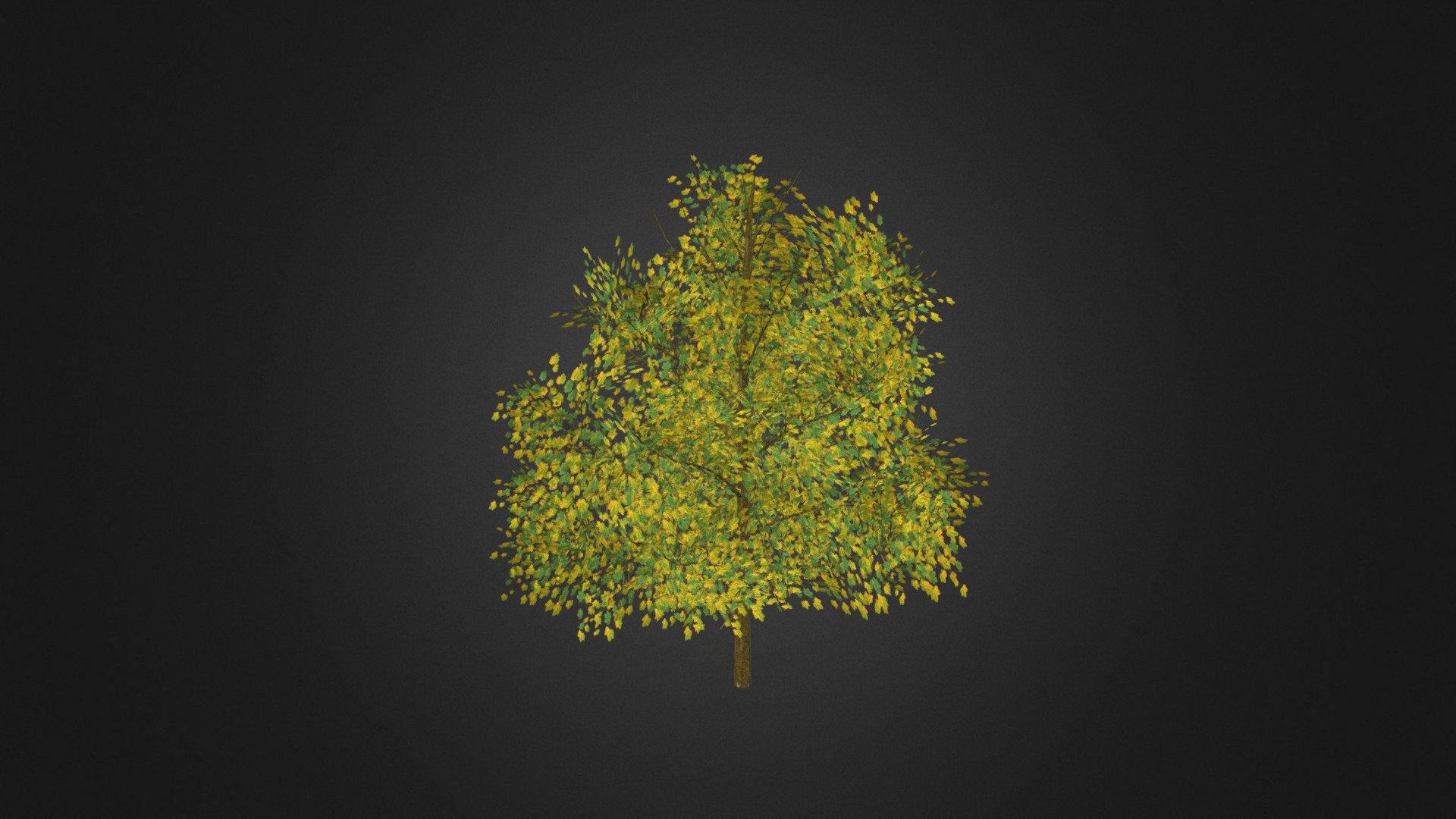 Trees - 3D model by Huang Lu (@ronanmission) [0a9c755] - Sketchfab