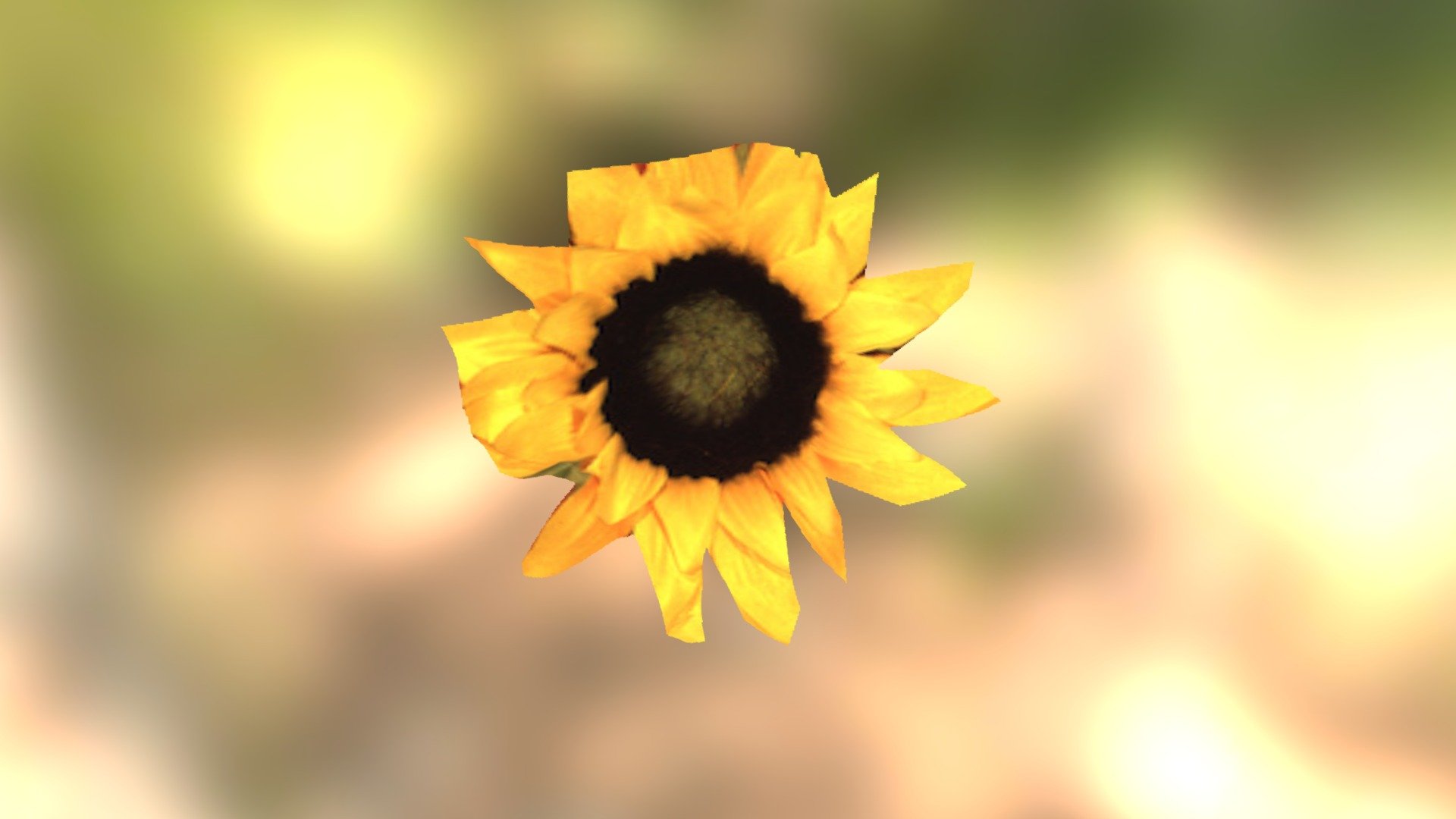test1 - 3D model by simon.knibbs [0aa2e53] - Sketchfab
