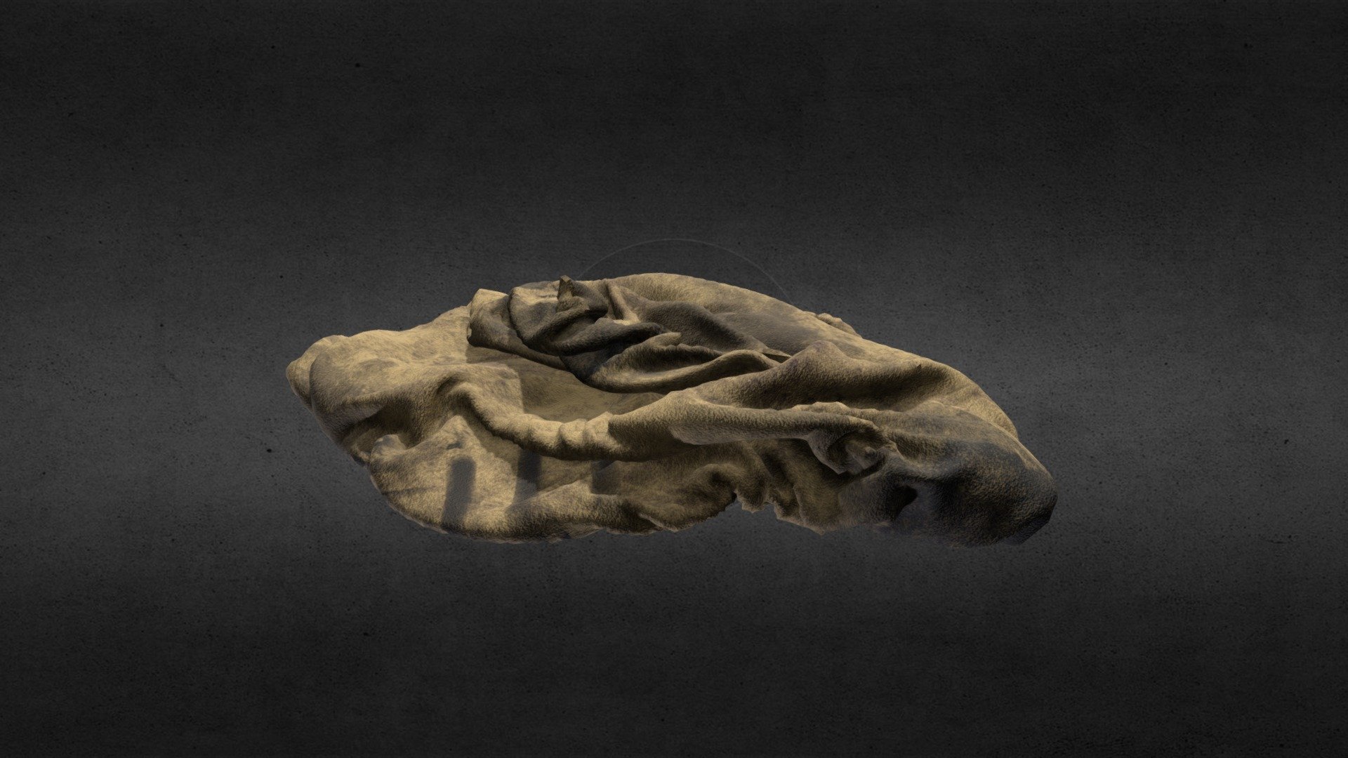 Chiffon Test - 3D model by Gillian Devaux (@kemmih) [0aa3dd5] - Sketchfab