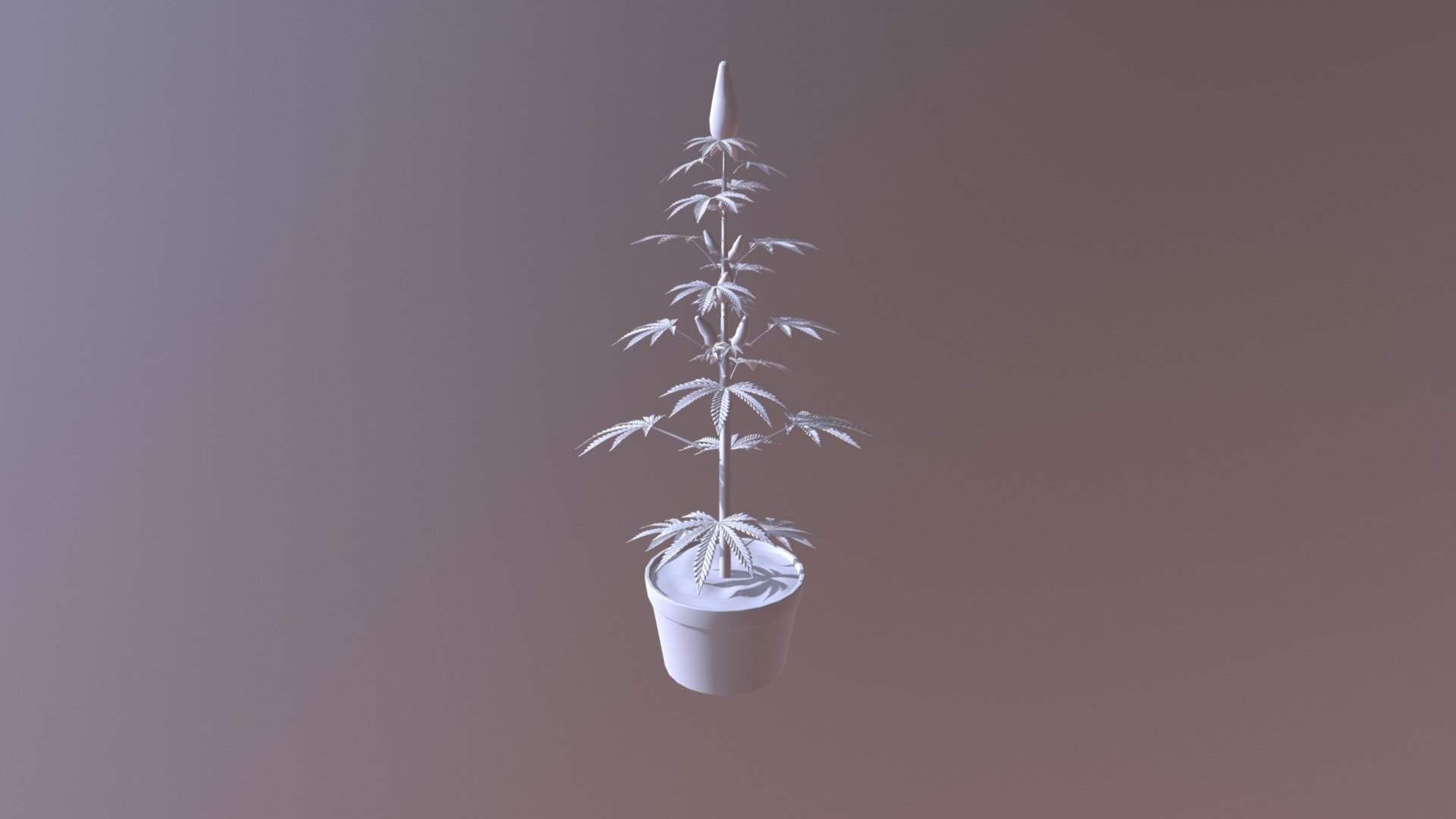 Big Plant - 3D model by noamtoledano [0aa74c7] - Sketchfab