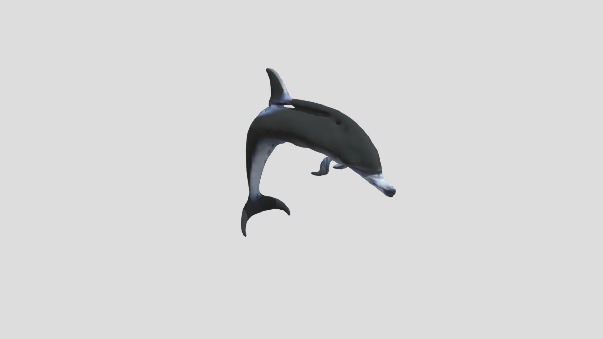 Jumping Dolphin - Buy Royalty Free 3D model by silvijamartinischwerin ...