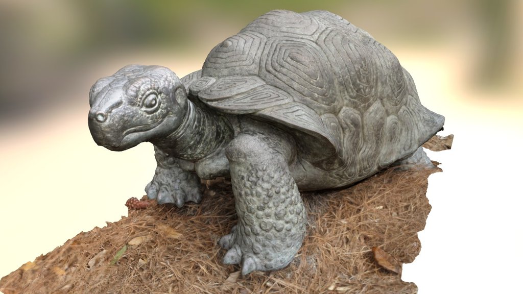 TURTLE SCAN - 3D model by Vaunt 3D (@vauntstudios) [0aae481] - Sketchfab