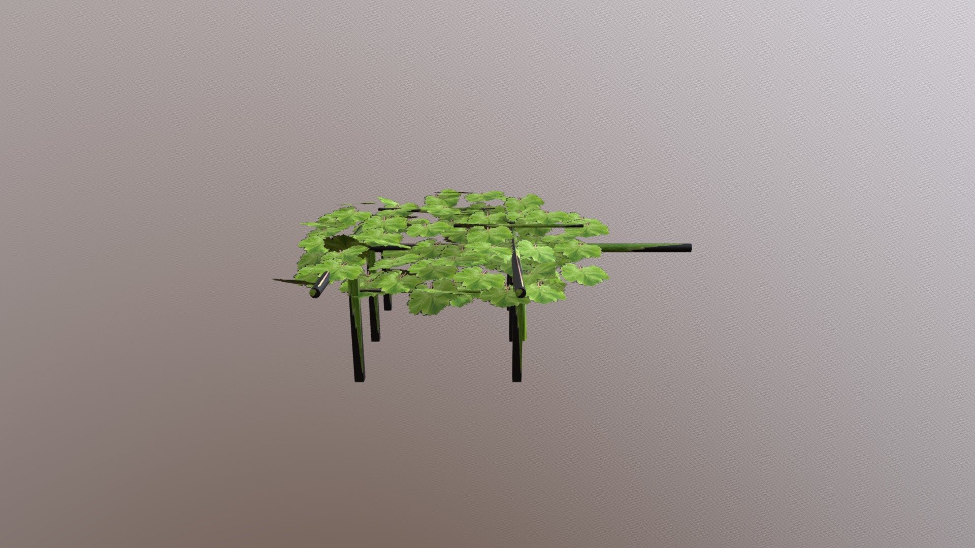 Grapes Tree - 3D model by cubicit [0aaf163] - Sketchfab